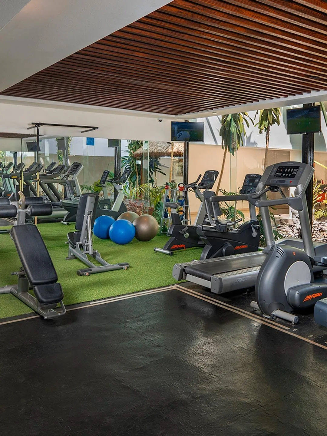 Things to do during your vacation | Playacar Palace