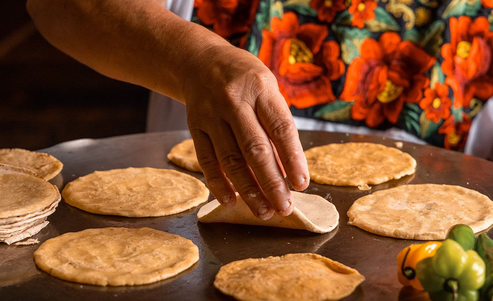 Relive every detail of this vacation | Playacar Palace