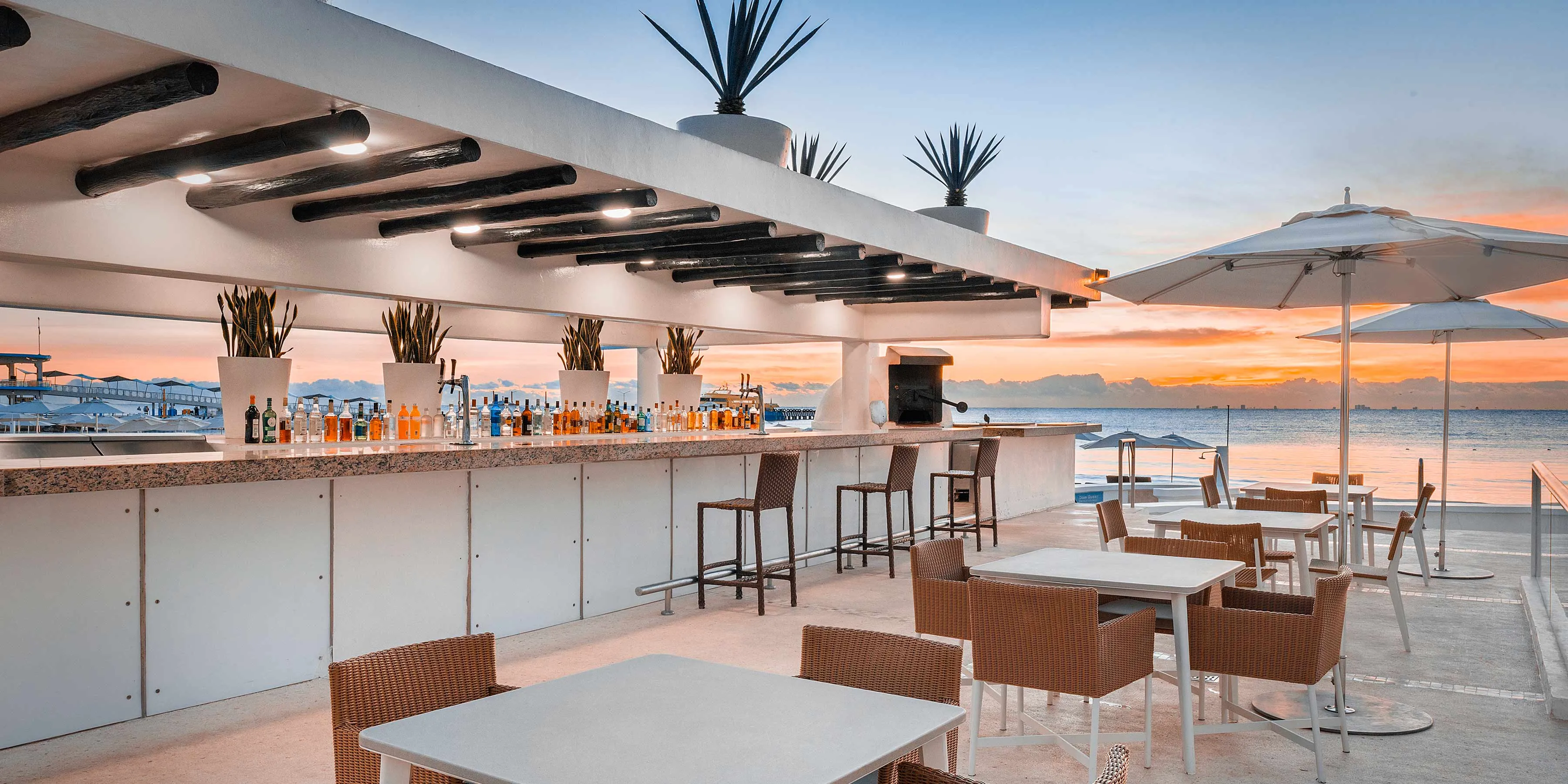 Best restaurants and bars in Playa | Playacar Palace